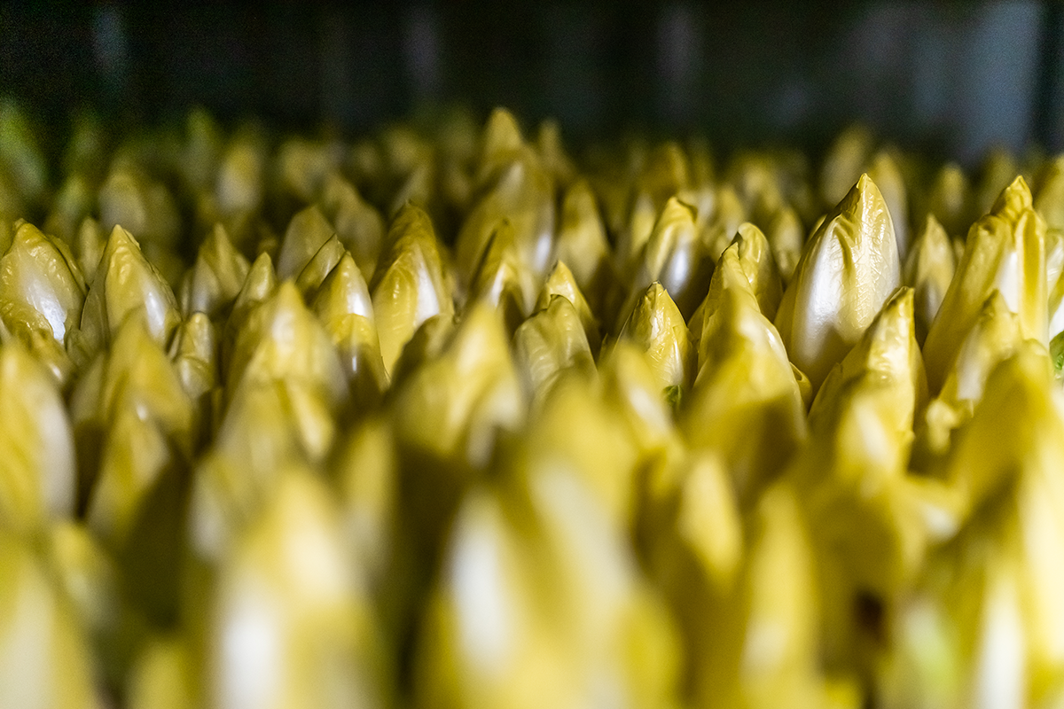 Familie Emmerechts | BelOrta