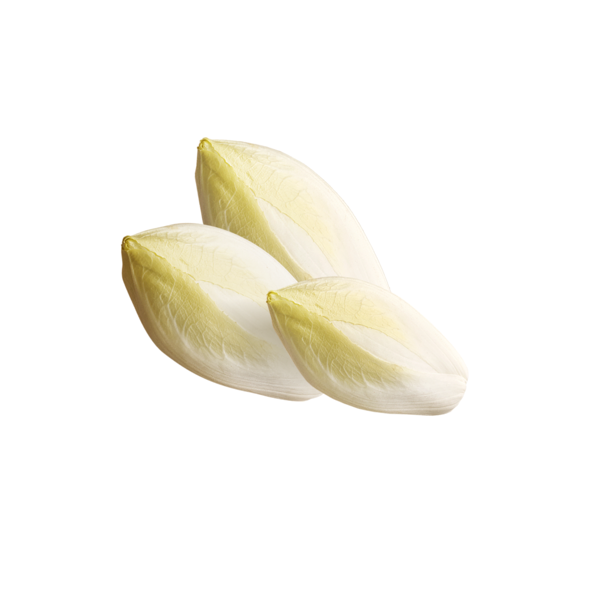 Faire braiser du chicon | BelOrta