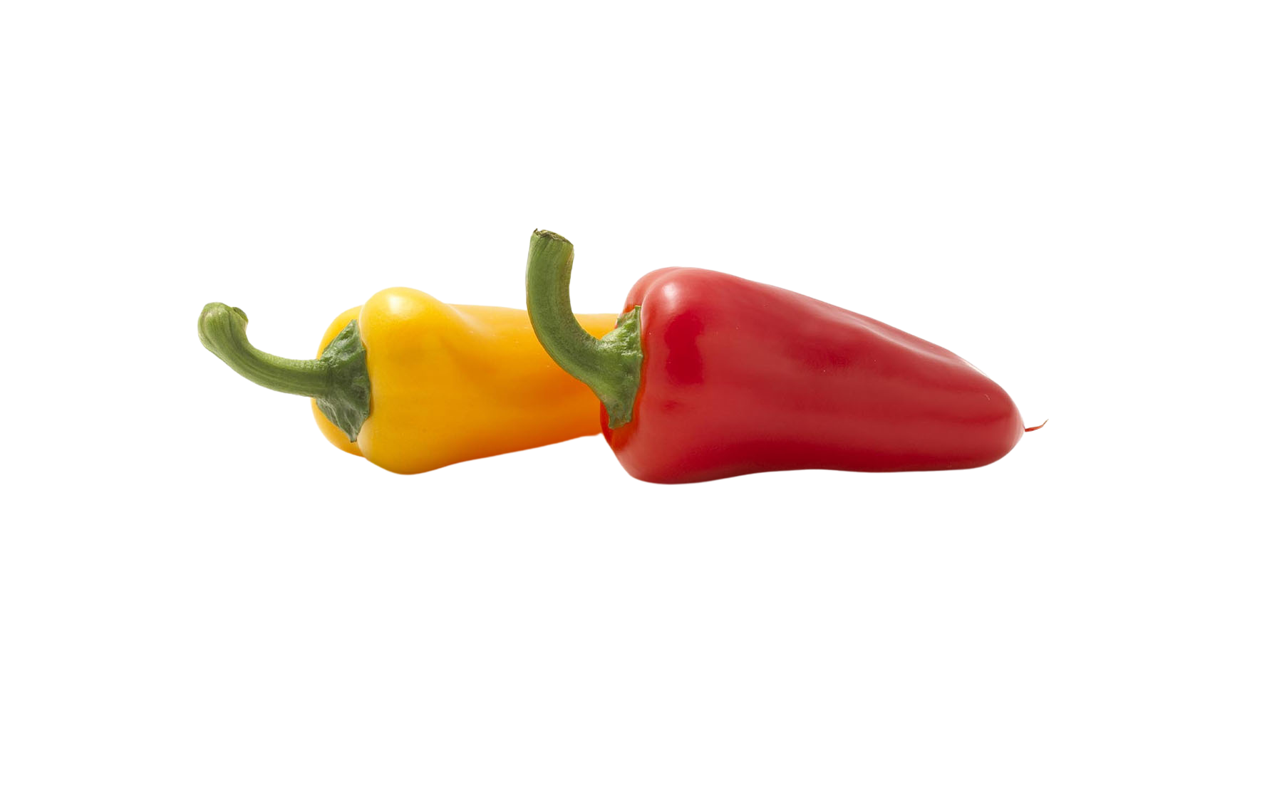 Mini poivron | BelOrta