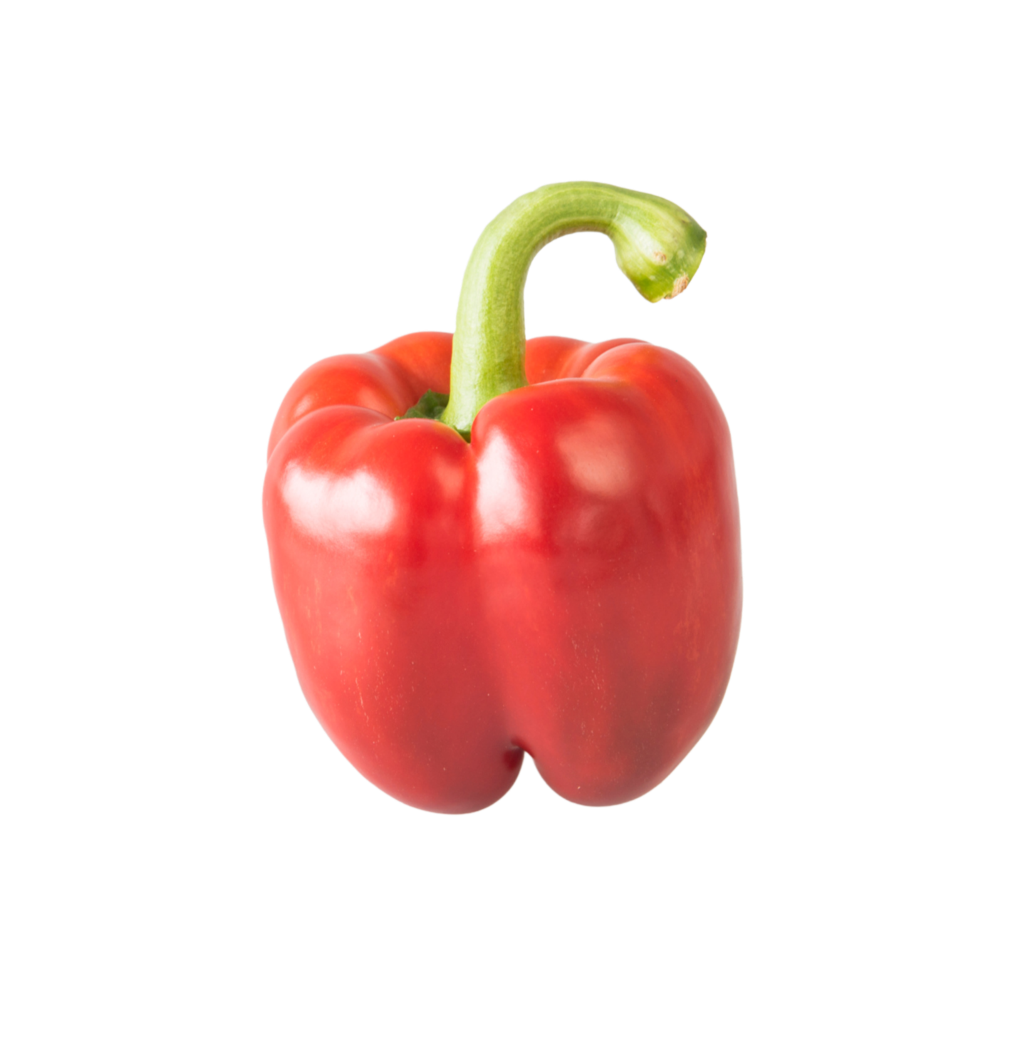 Rode paprika | BelOrta