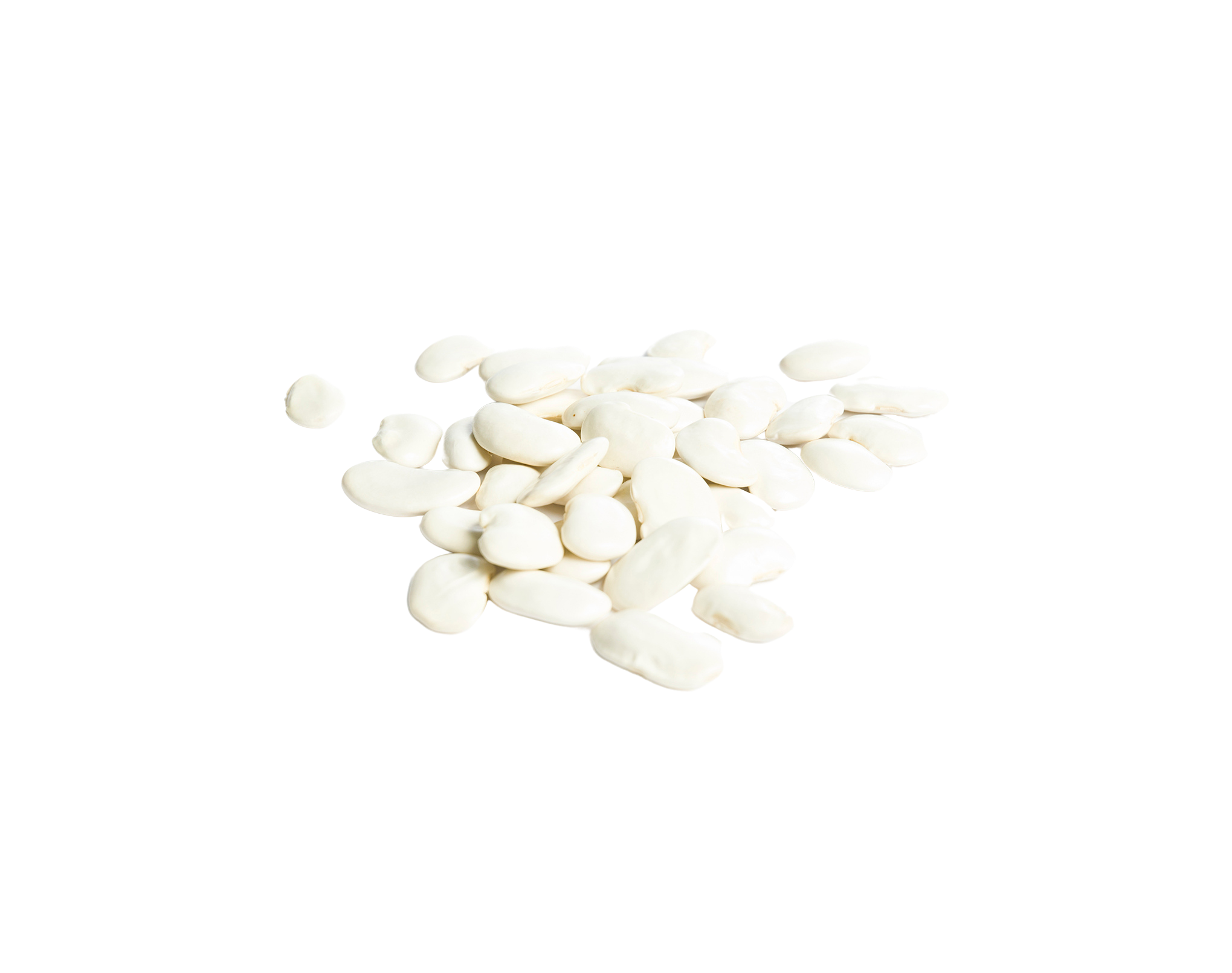 Witte boon | BelOrta